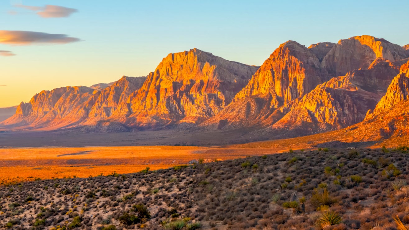 Welcome to Artex Risk | Artex Risk