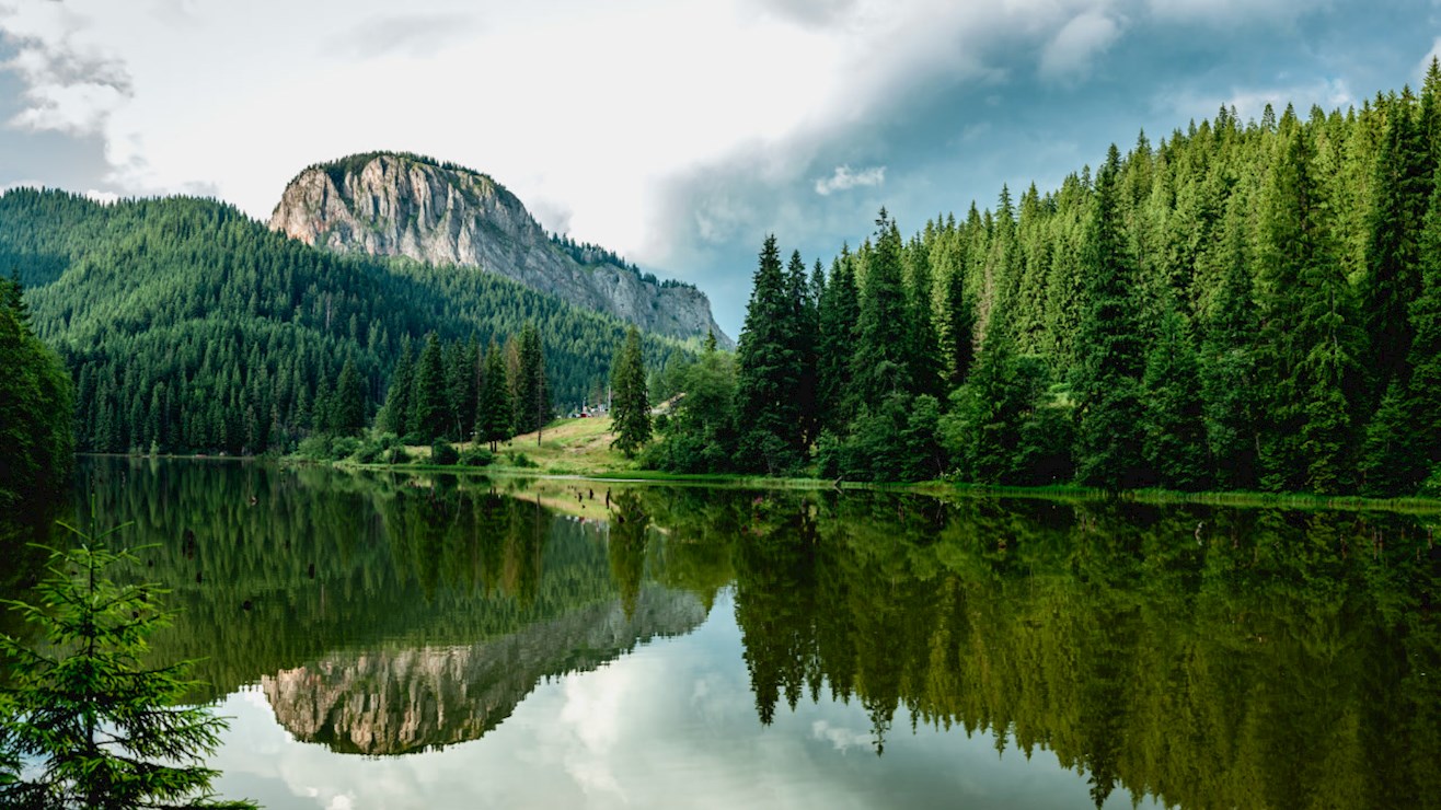 Welcome to Artex Risk | Artex Risk Solutions