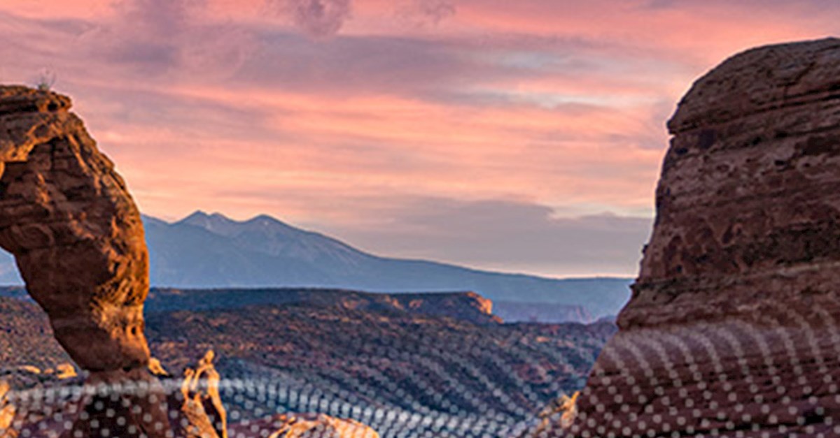 Artex Fund Services Team | Artex Risk